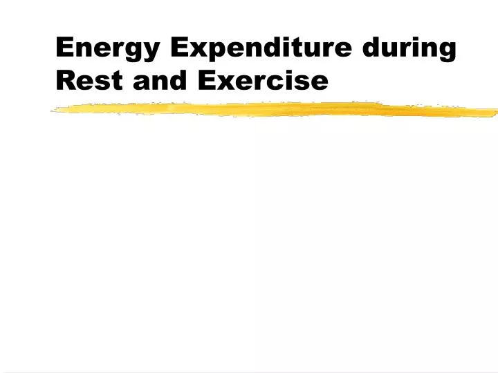 PPT - Energy Expenditure during Rest and Exercise PowerPoint ...