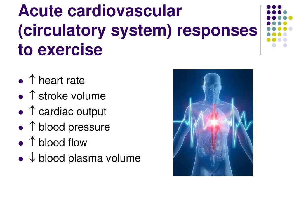 PPT - Acute physiological changes during exercise PowerPoint ... PPT - Acute physiological changes during exercise PowerPoint ...