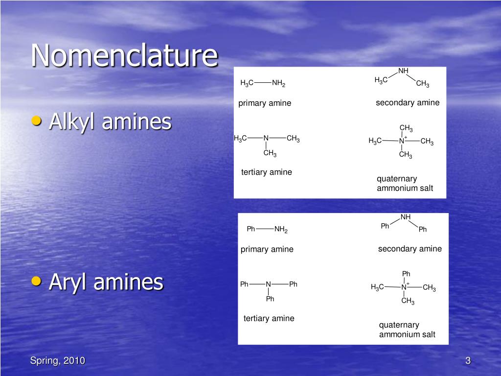 PPT - Organic Chemistry II The Chemistry of Amines PowerPoint ...