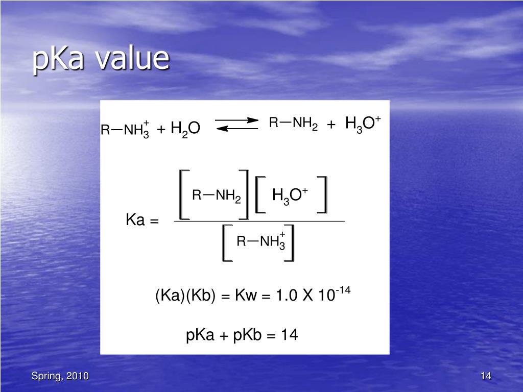 PPT - Organic Chemistry II The Chemistry of Amines PowerPoint ...