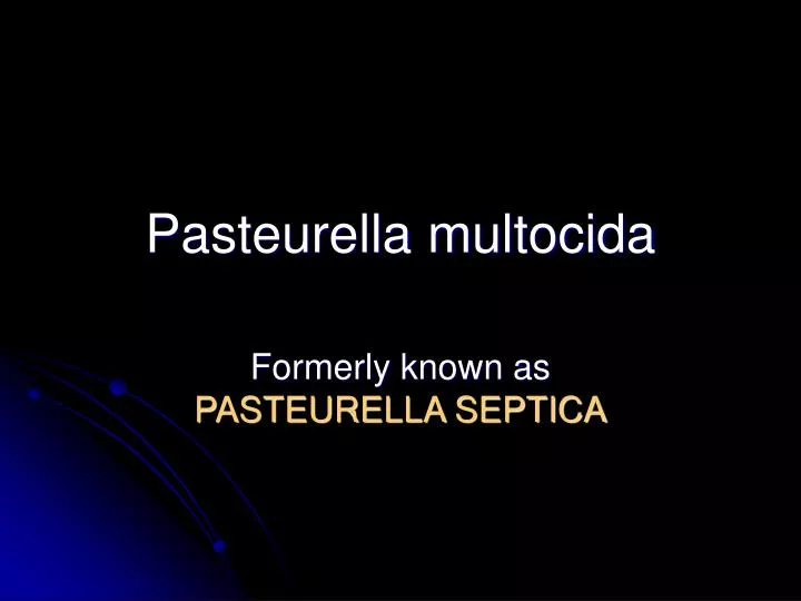 Ppt Pasteurella Multocida Powerpoint Presentation Free Download Id 6519513