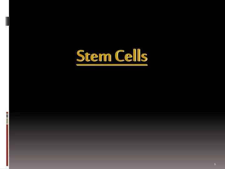 PPT - Stem Cells PowerPoint Presentation, free download - ID:6520151