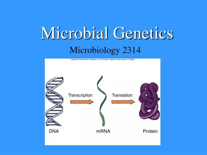 PPT - Microbial Genetics PowerPoint Presentation, free download - ID ...