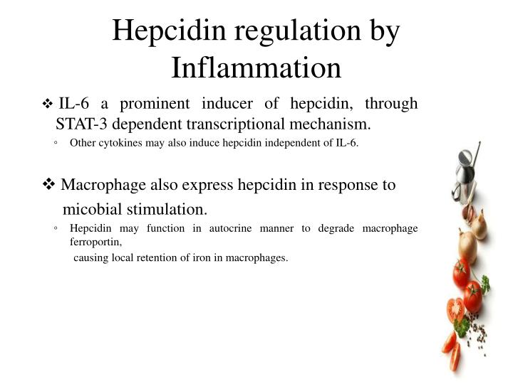 PPT - ROLE OF IRON IN HUMAN HEALTH PowerPoint Presentation - ID:6520927