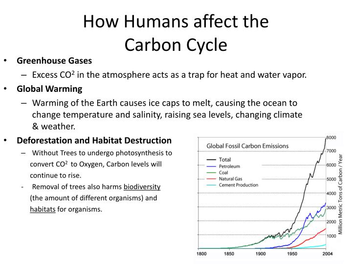 PPT - Ecology: Energy Flow and Nutrient Cycles PowerPoint Presentation ...