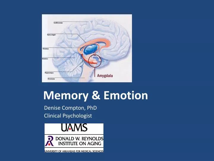 PPT - Memory & Emotion PowerPoint Presentation, free download - ID:6523491