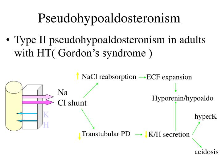 PPT - Monogenic Hypertension PowerPoint Presentation - ID:6523685