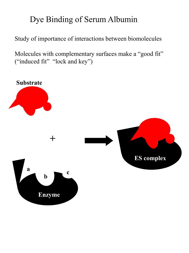 PPT - Dye Binding of Serum Albumin PowerPoint Presentation - ID:6523818