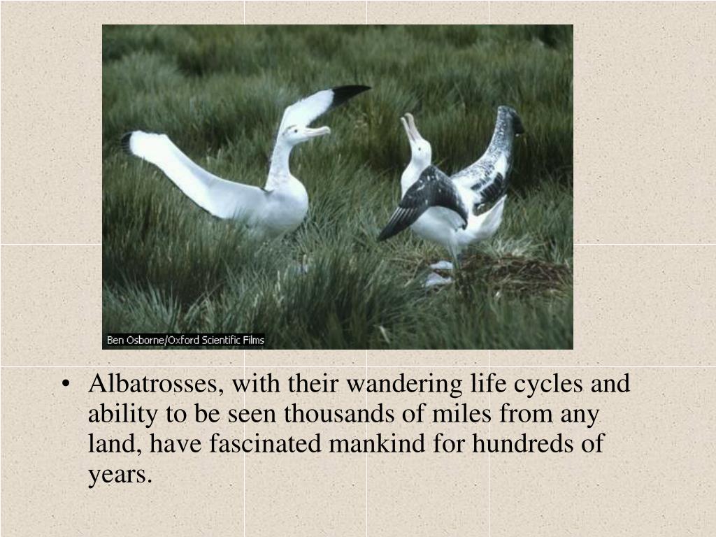 PPT - Rhyme of the Ancient Mariner By: Samuel T. Coleridge PowerPoint ...