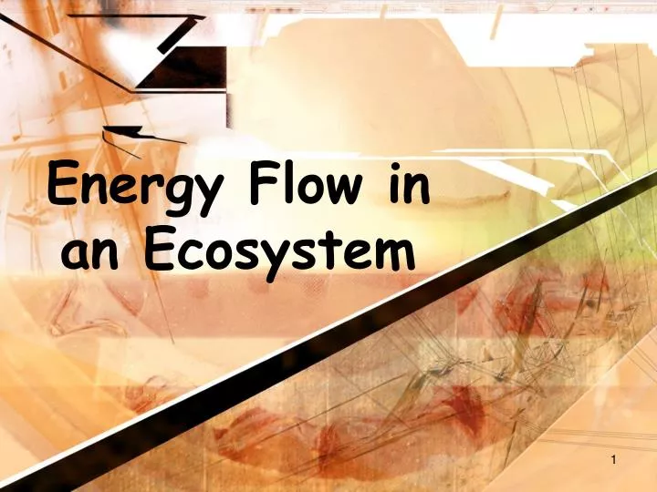 PPT - Energy Flow in an Ecosystem PowerPoint Presentation, free ...