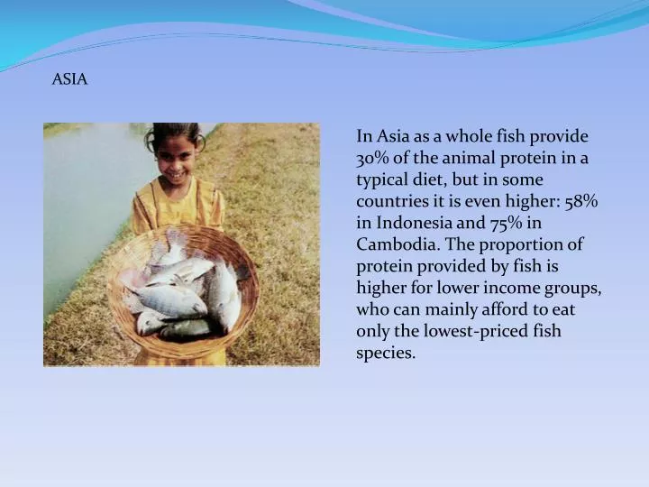 PPT - ASIA PowerPoint Presentation, free download - ID:6525484