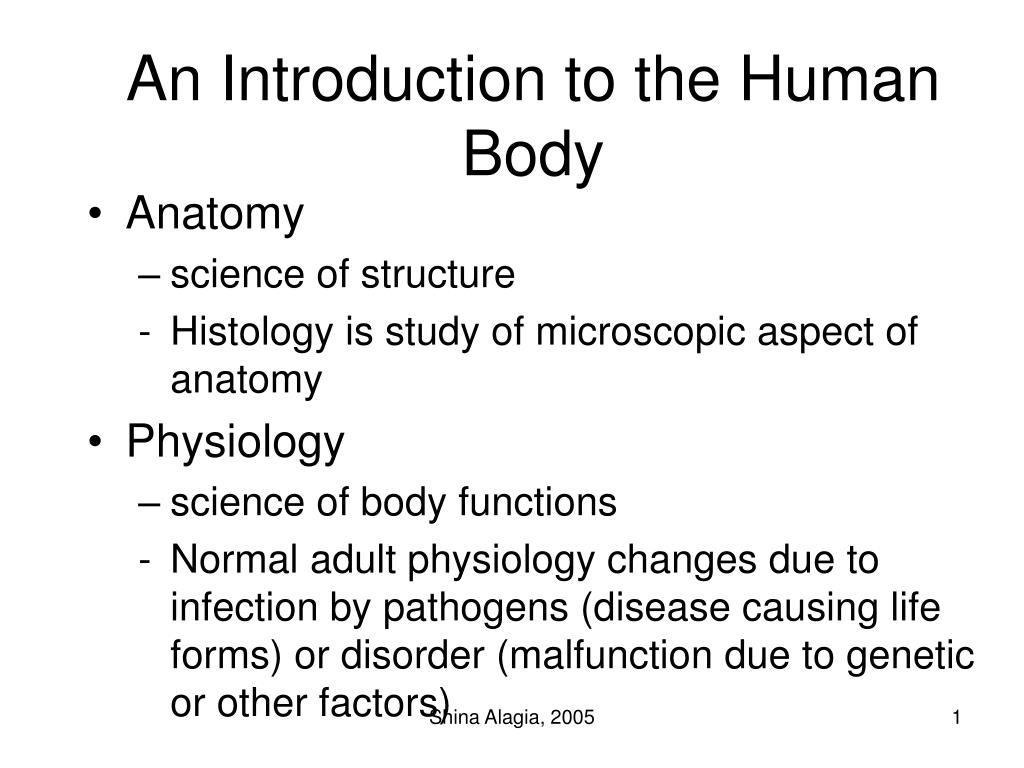 Ppt An Introduction To The Human Body Powerpoint Presentation Free