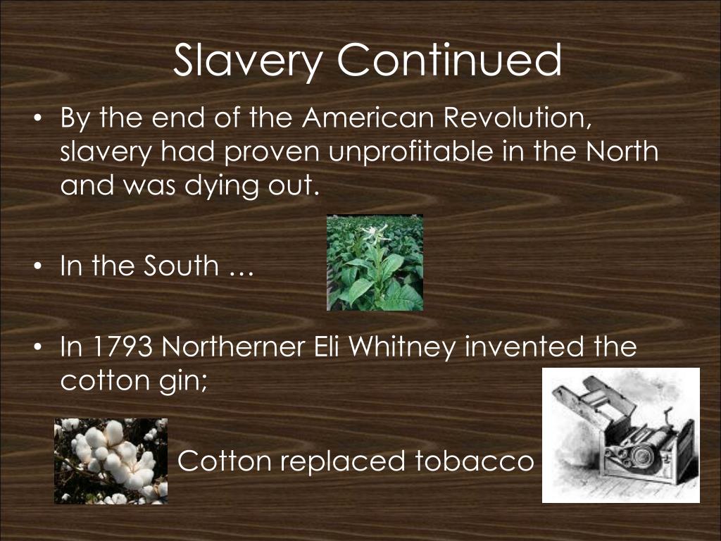 PPT - The Birth of Slavery in America: Causes and Consequences during ...