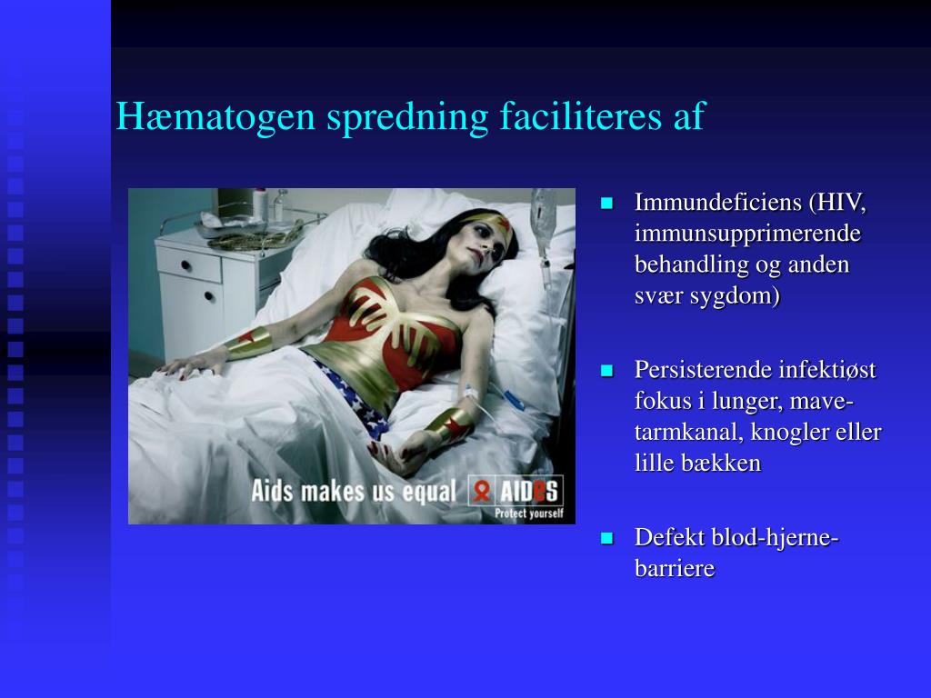 PPT - Neuroanatomiske forhold af betydning for neuroinfektioner ...