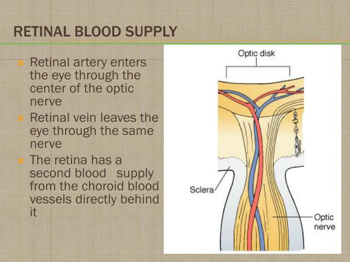 PPT - Chapter 38 Disorders of Special Sensory Function: Vision, Hearing ...