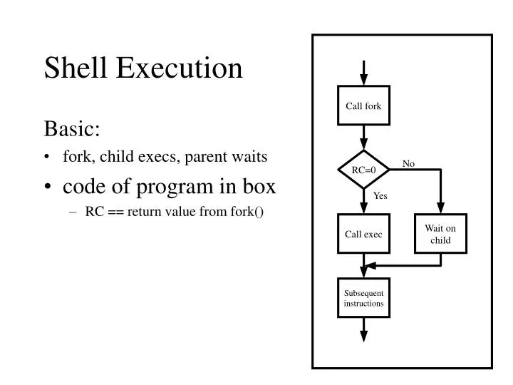 PPT - Shell Execution PowerPoint Presentation, free download - ID:6528021