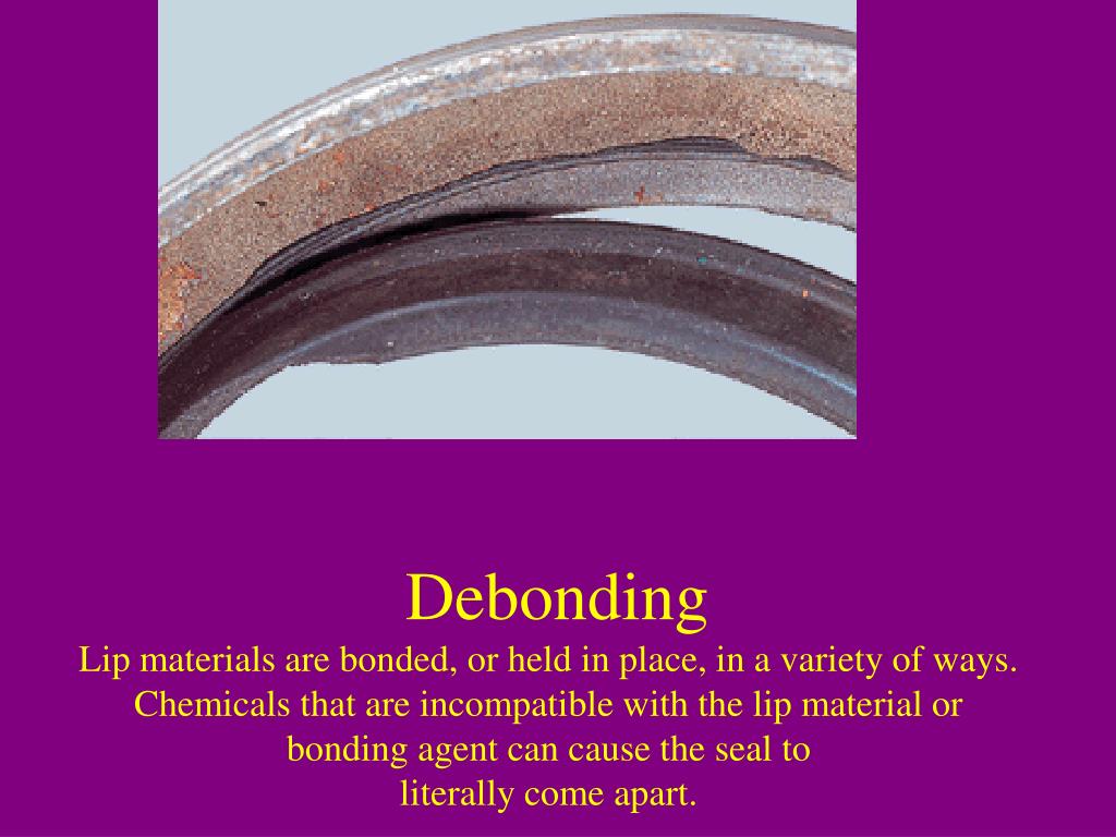 Shaft Seal Failure Analysis At Xavier Brill Blog Shaft Seal Failure Analysis At Xavier Brill Blog