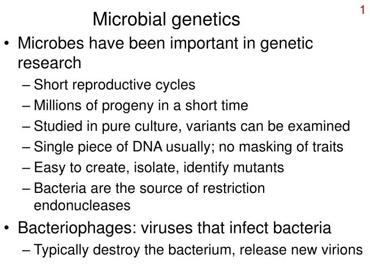 PPT - Microbial genetics PowerPoint Presentation, free download - ID ...