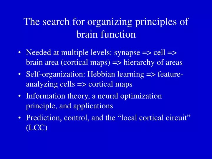 PPT - The search for organizing principles of brain function PowerPoint ...