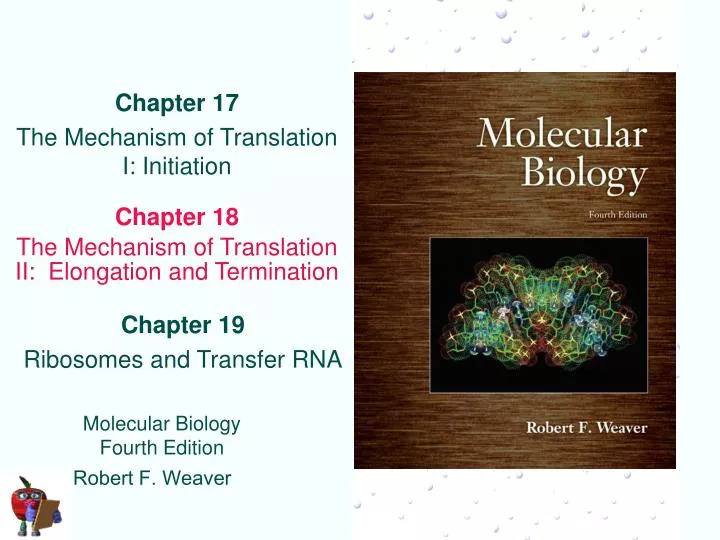 PPT - Molecular Biology Fourth Edition PowerPoint Presentation, free ...