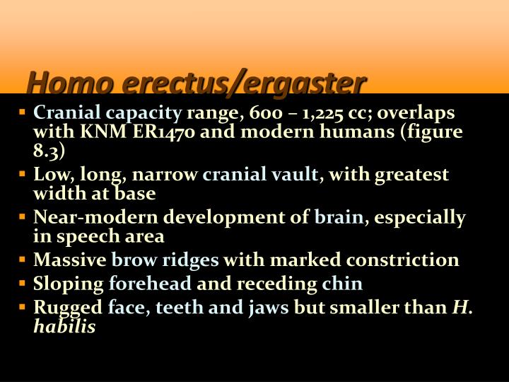 PPT - Human Evolution and PREHISTORY PowerPoint Presentation - ID:6529637