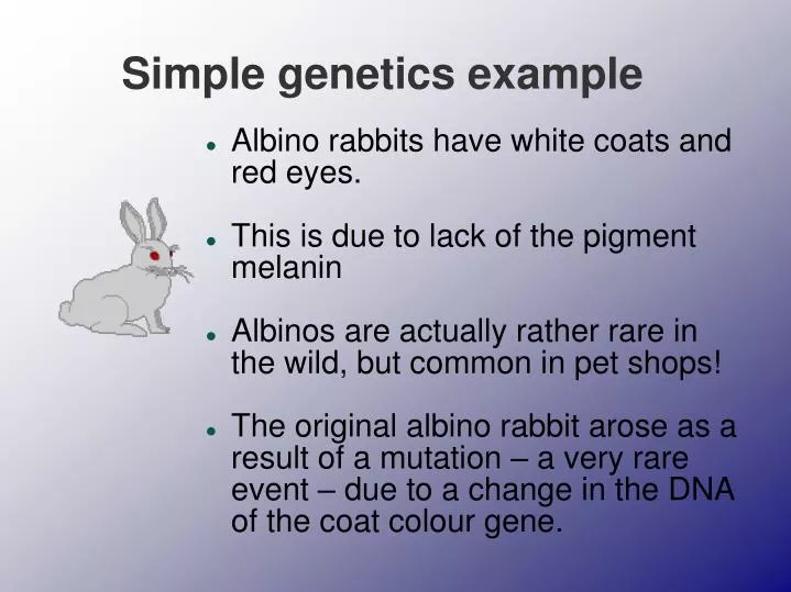 PPT - Simple genetics example PowerPoint Presentation, free download ...