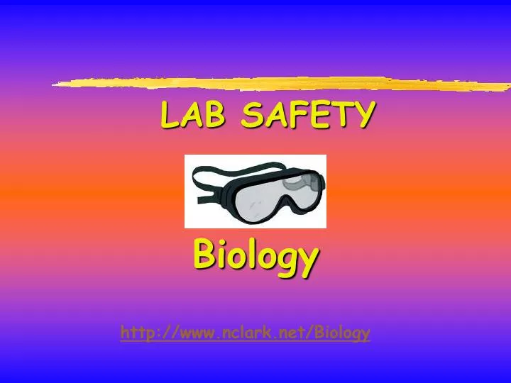PPT - LAB SAFETY PowerPoint Presentation, free download - ID:6529728