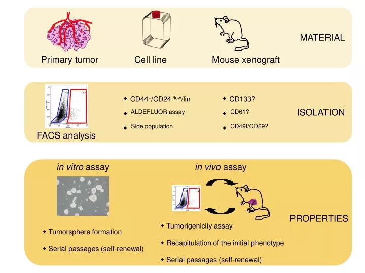 PPT - ISOLATION PowerPoint Presentation, free download - ID:6529810