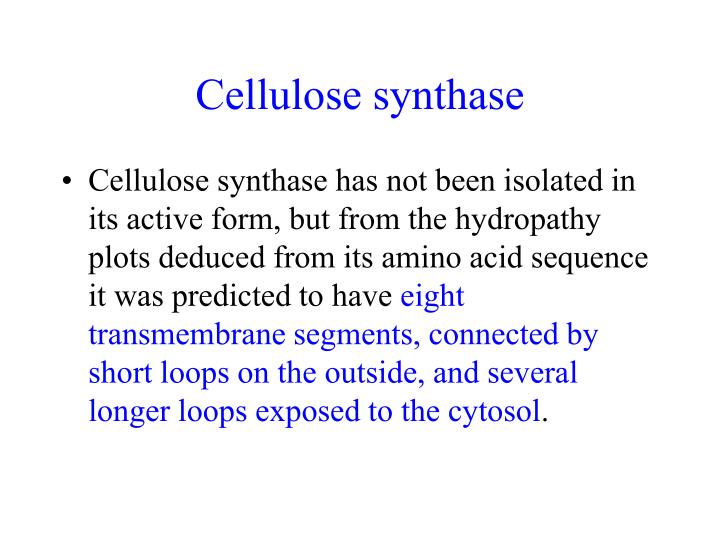 PPT - Plant Carbohydrate Biosynthesis PowerPoint Presentation - ID:6529889