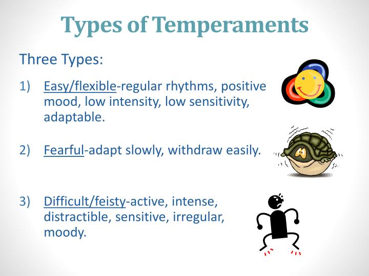 PPT - The HighScope Curriculum for Infants and Toddlers PowerPoint ...