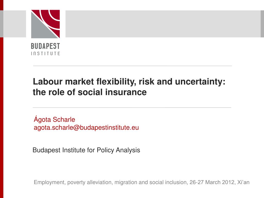 PPT - Labour market flexibility, risk and uncertainty: the role of ...