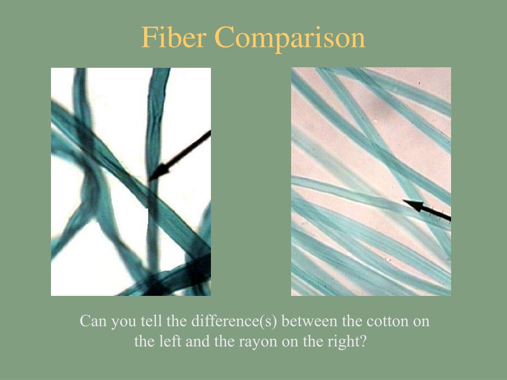 PPT - FORENSIC SCIENCE Trace Evidence Fiber as Evidence PowerPoint ... PPT - FORENSIC SCIENCE Trace Evidence Fiber as Evidence PowerPoint ...