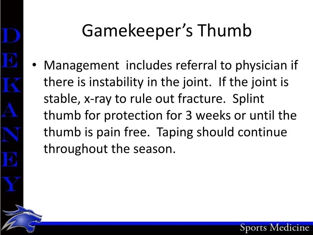 PPT - The Forearm, Wrist, Hand and Fingers PowerPoint Presentation ...