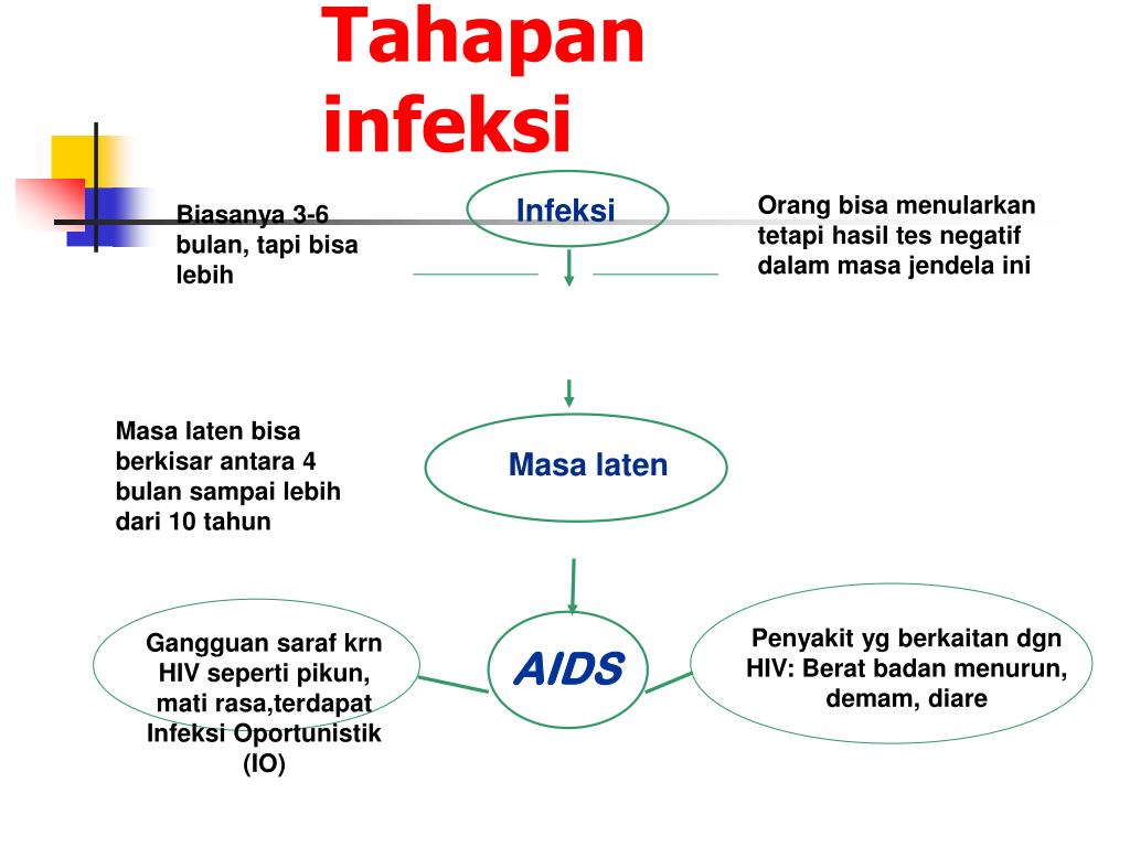 4 Tahapan Infeksi Hiv Menjadi Aids Yang Perlu Diketah - vrogue.co 4 Tahapan Infeksi Hiv Menjadi Aids Yang Perlu Diketah - vrogue.co