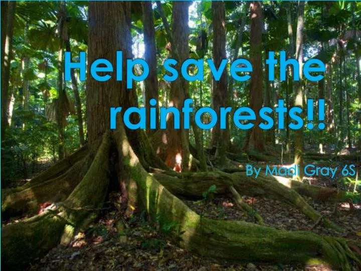 PPT - Help save the rainforests!! PowerPoint Presentation, free ...