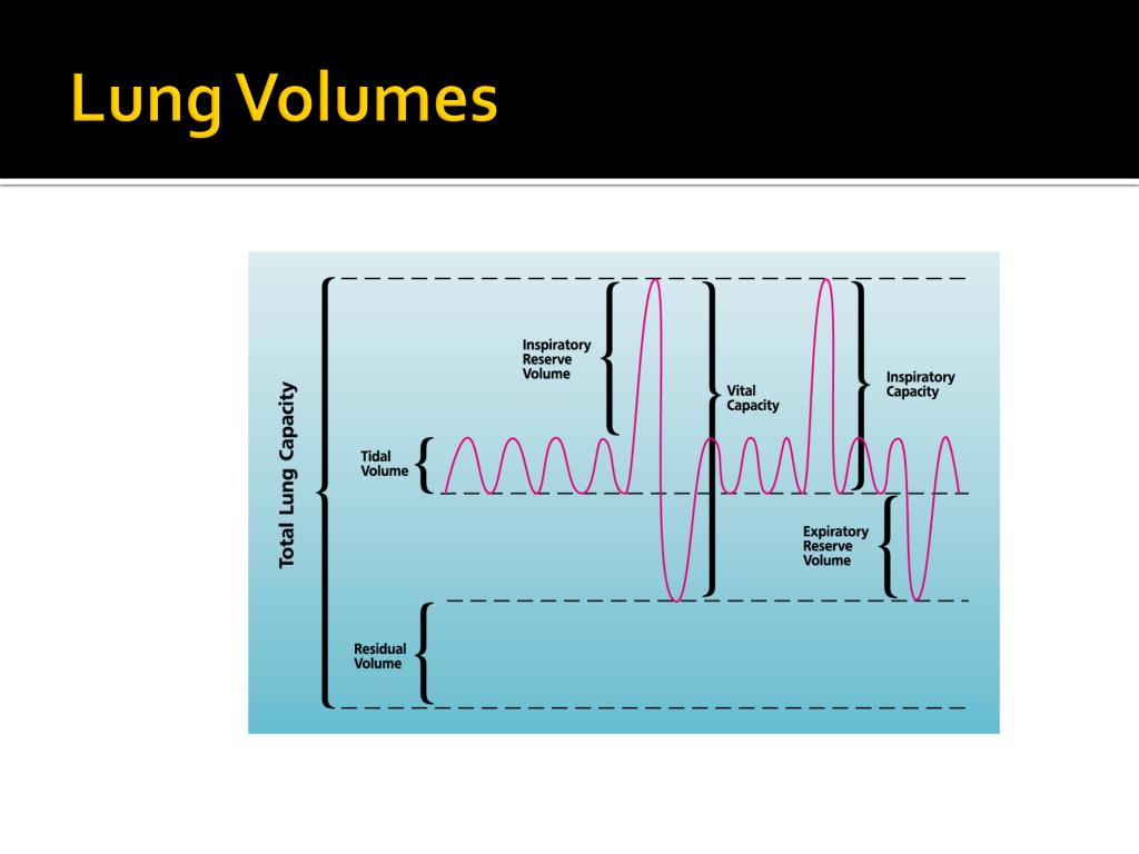 PPT - Spirometry Study Day 23 rd September 2010 Robert Daw Clinical ...