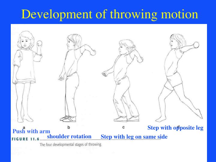 PPT - Throwlike and Pushlike Movement Patterns (source: Kreighbaum 1996 ...