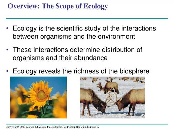 PPT - Overview: The Scope of Ecology PowerPoint Presentation, free ...