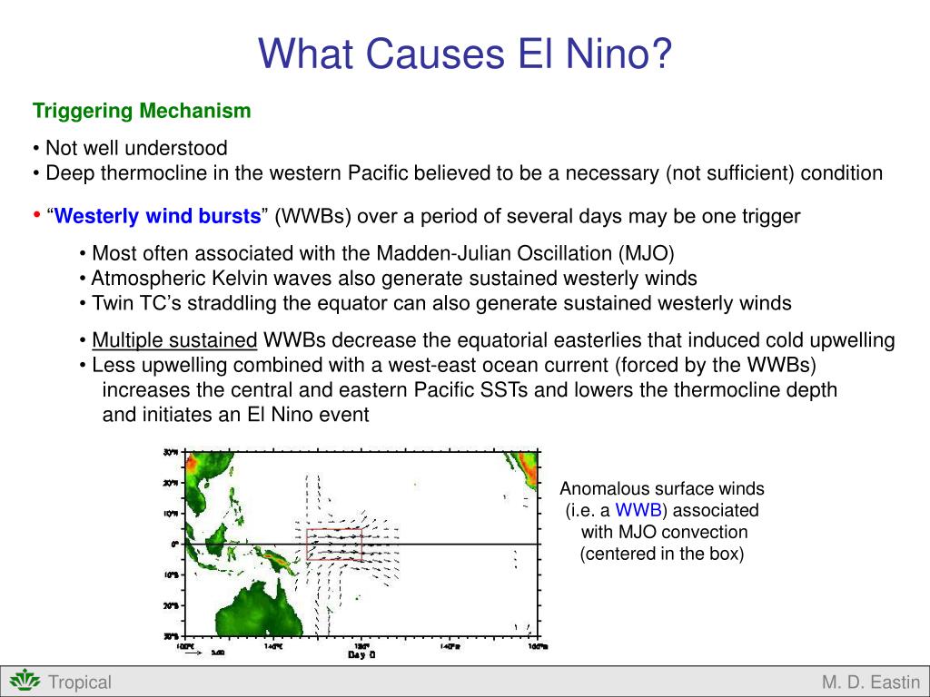 PPT - The El-Nino Southern Oscillation (ENSO) PowerPoint Presentation ...