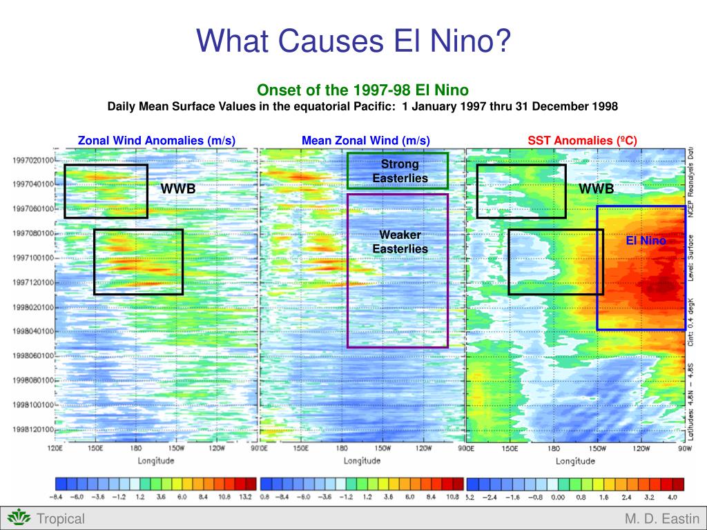 PPT - The El-Nino Southern Oscillation (ENSO) PowerPoint Presentation ...