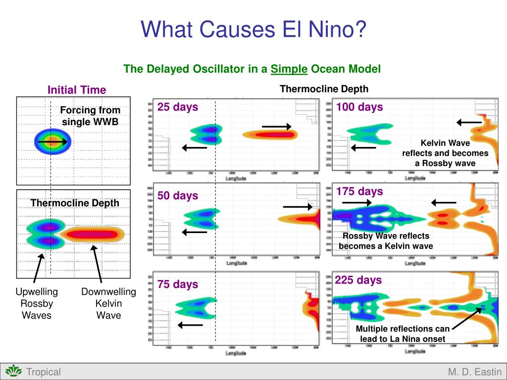 PPT - The El-Nino Southern Oscillation (ENSO) PowerPoint Presentation ...