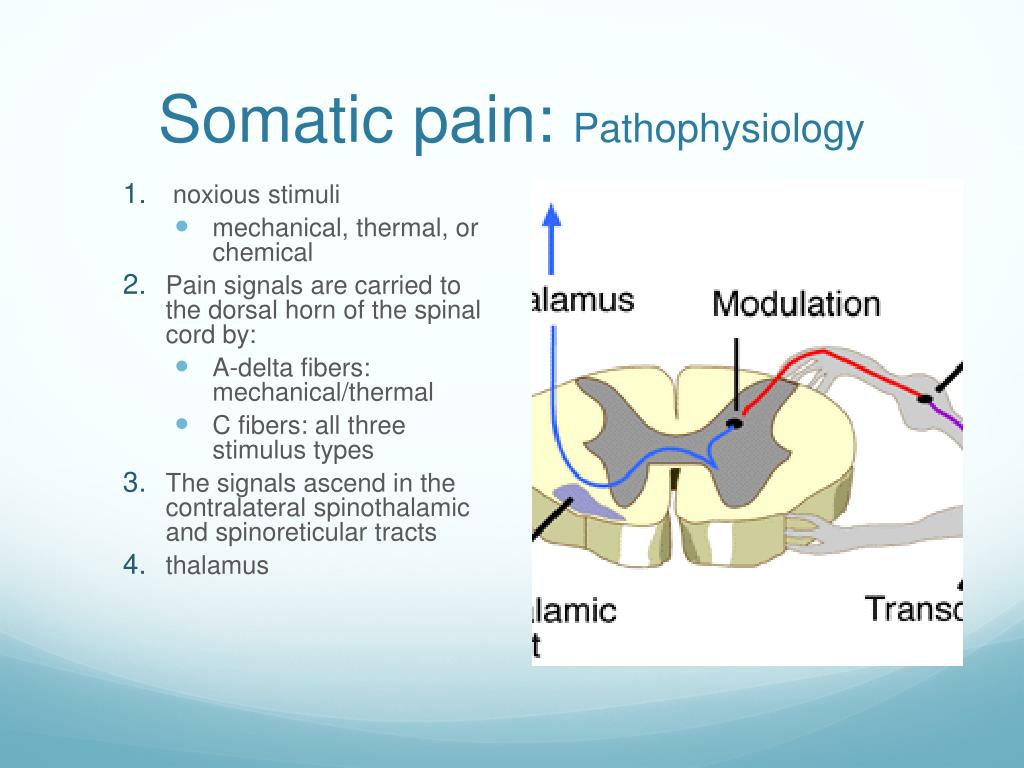 PPT - Cancer Pain in Children PowerPoint Presentation, free download ...