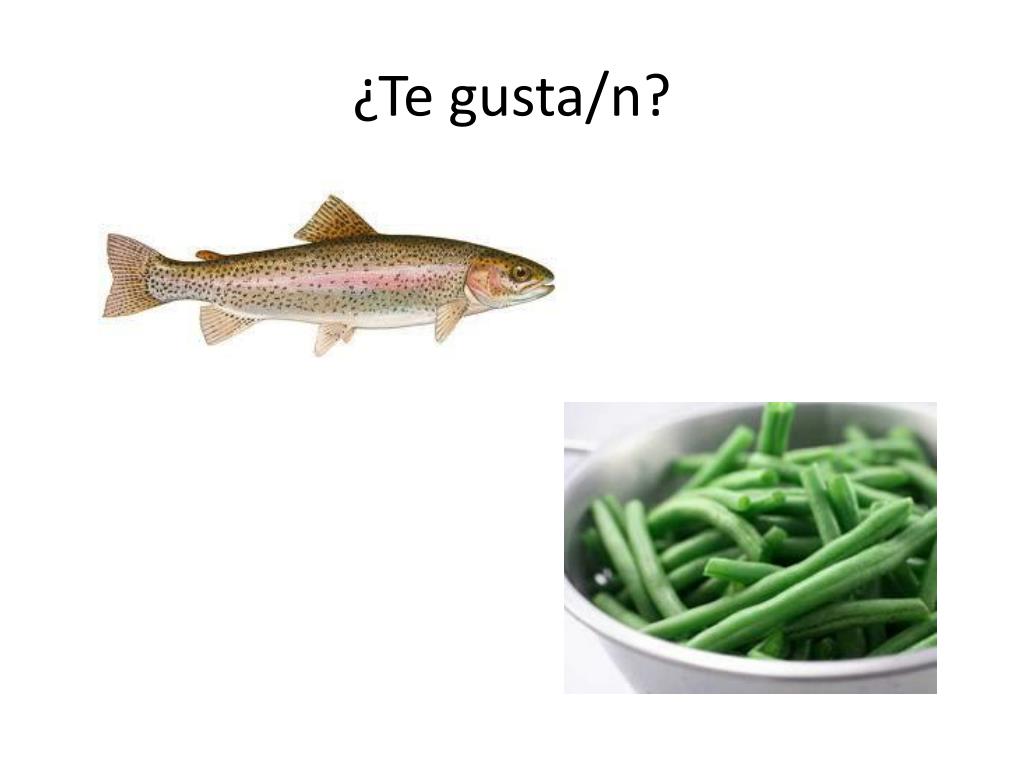 PPT - ¿ Te gusta , no te gusta , o te encanta la comida? PowerPoint ...