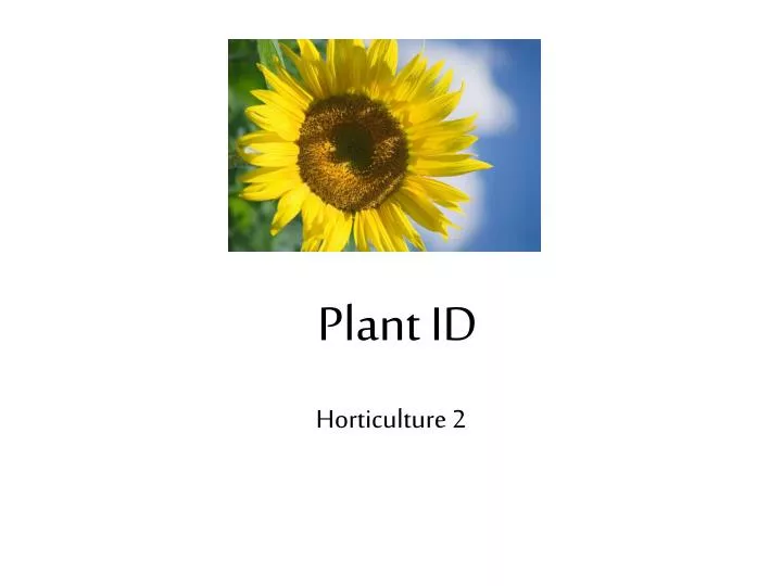 PPT - Plant ID PowerPoint Presentation, free download - ID:6540378