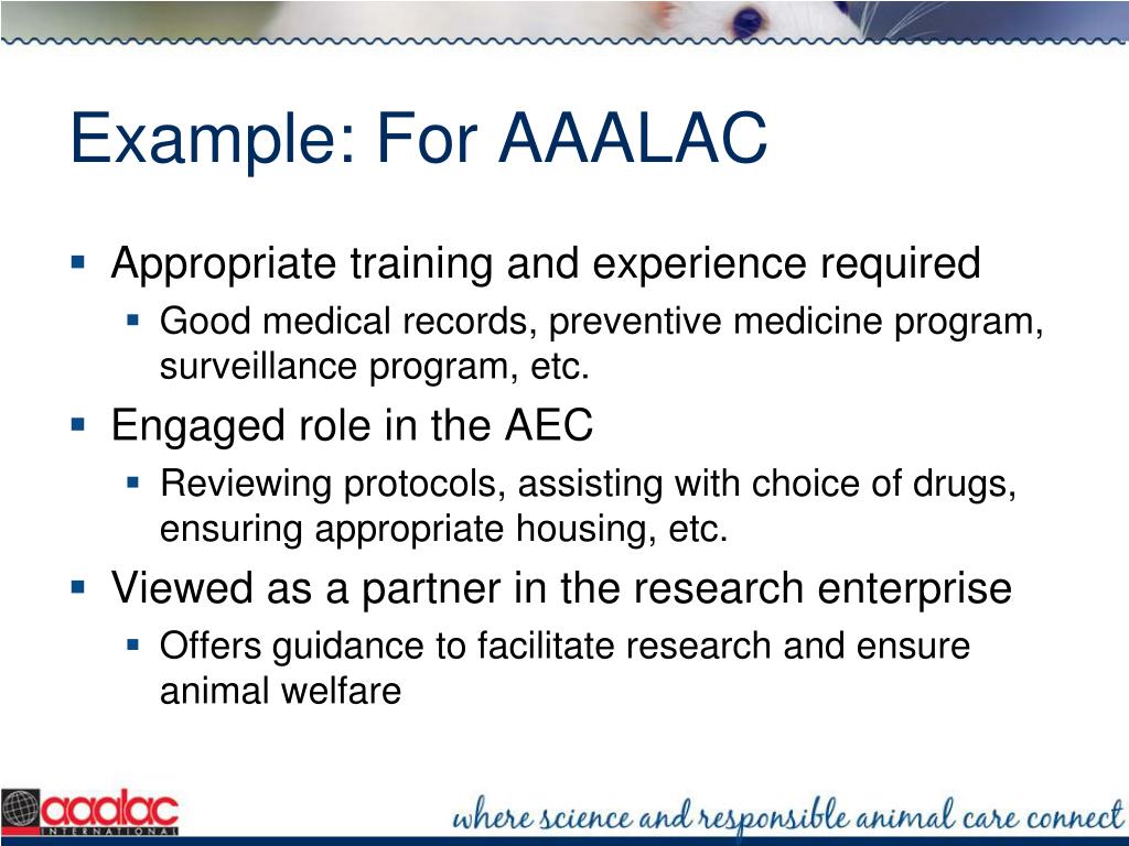 PPT - International Benchmarking: AAALAC International Accreditation ...