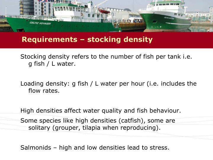 PPT - Husbandry of Aquatic Laboratory Animals PowerPoint Presentation ...