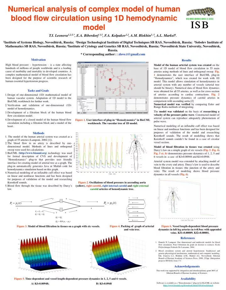 PPT - Numerical analysis of complex model of human blood flow ...