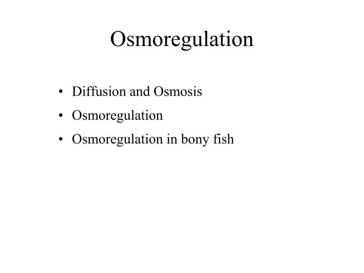 PPT - Osmoregulation PowerPoint Presentation, free download - ID:6542733