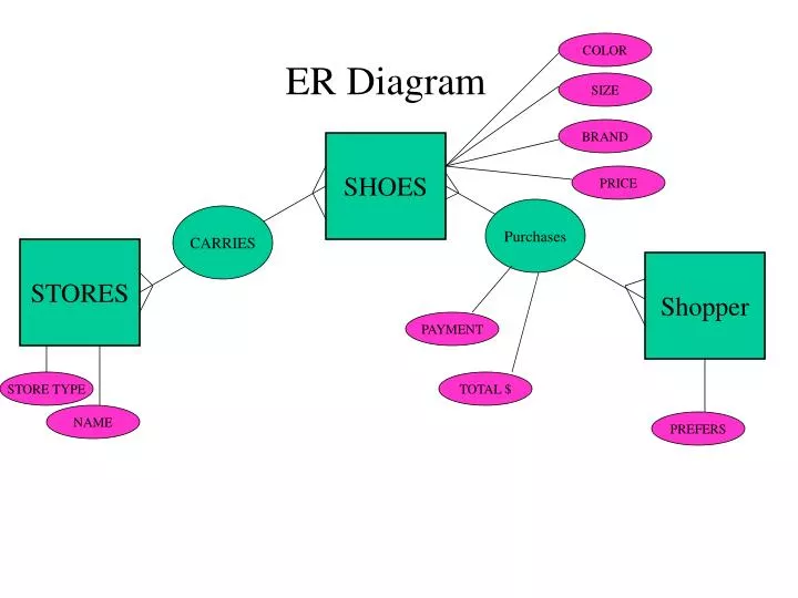 PPT - ER Diagram PowerPoint Presentation, free download - ID:6542822