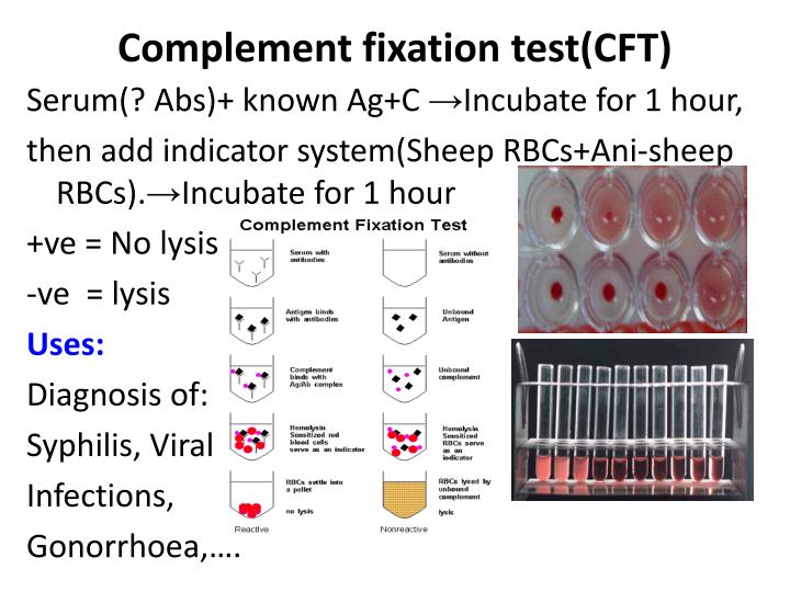 PPT - Immunodiagnosis Antigen antibody reactions PowerPoint ...